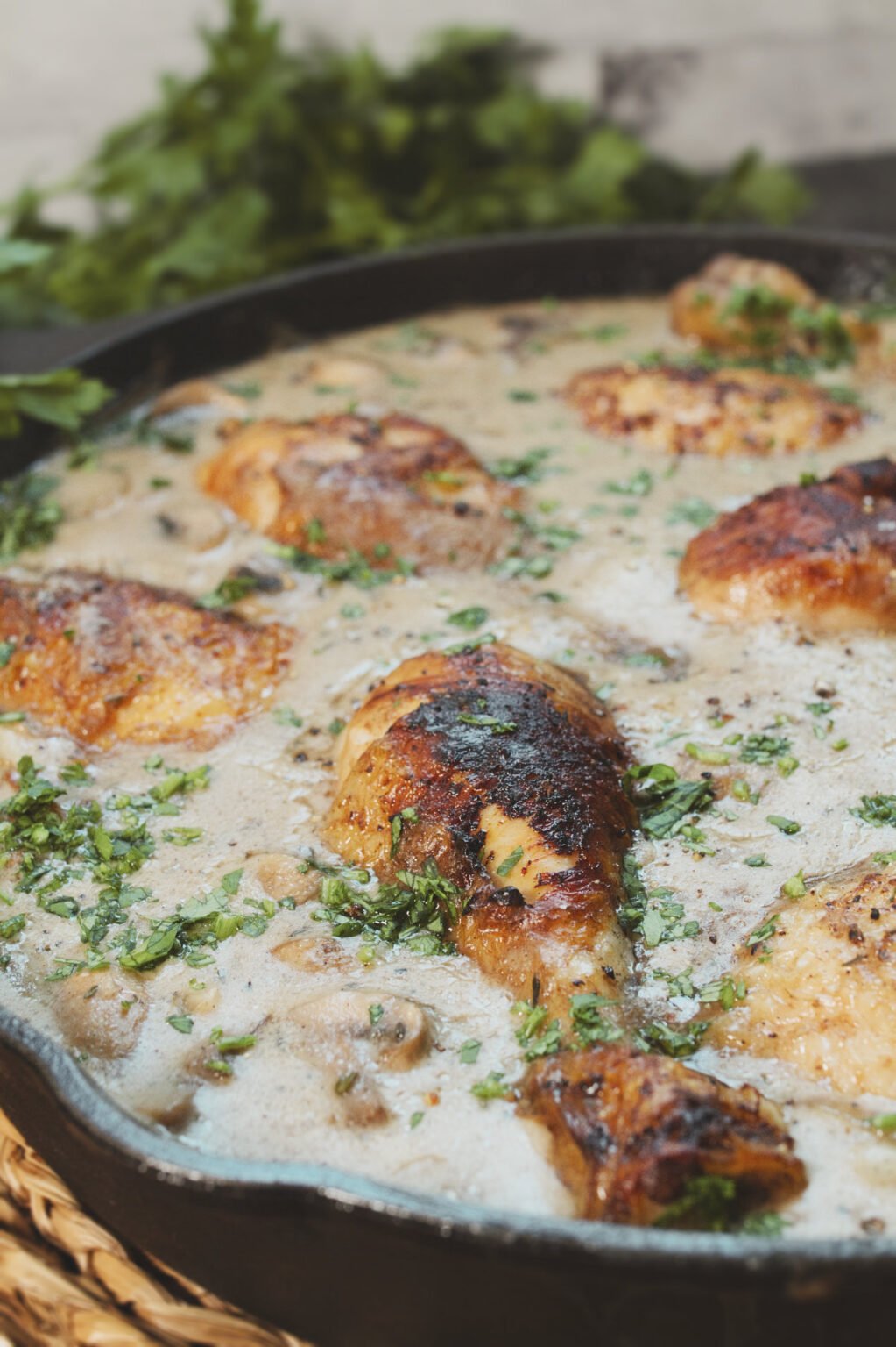 Chicken Fricassée – The Classic French Chicken Stew